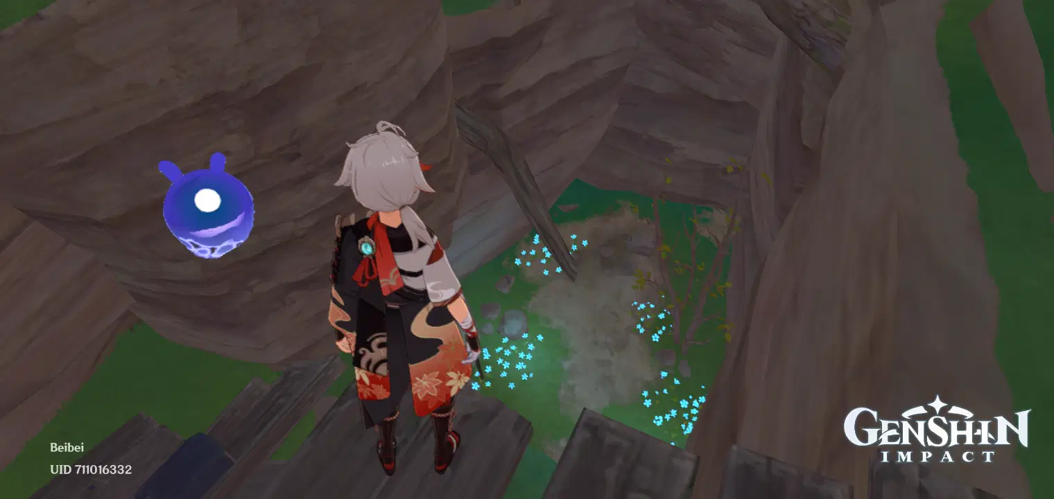 Location of Tomo's grave Genshin Impact | HoYoLAB