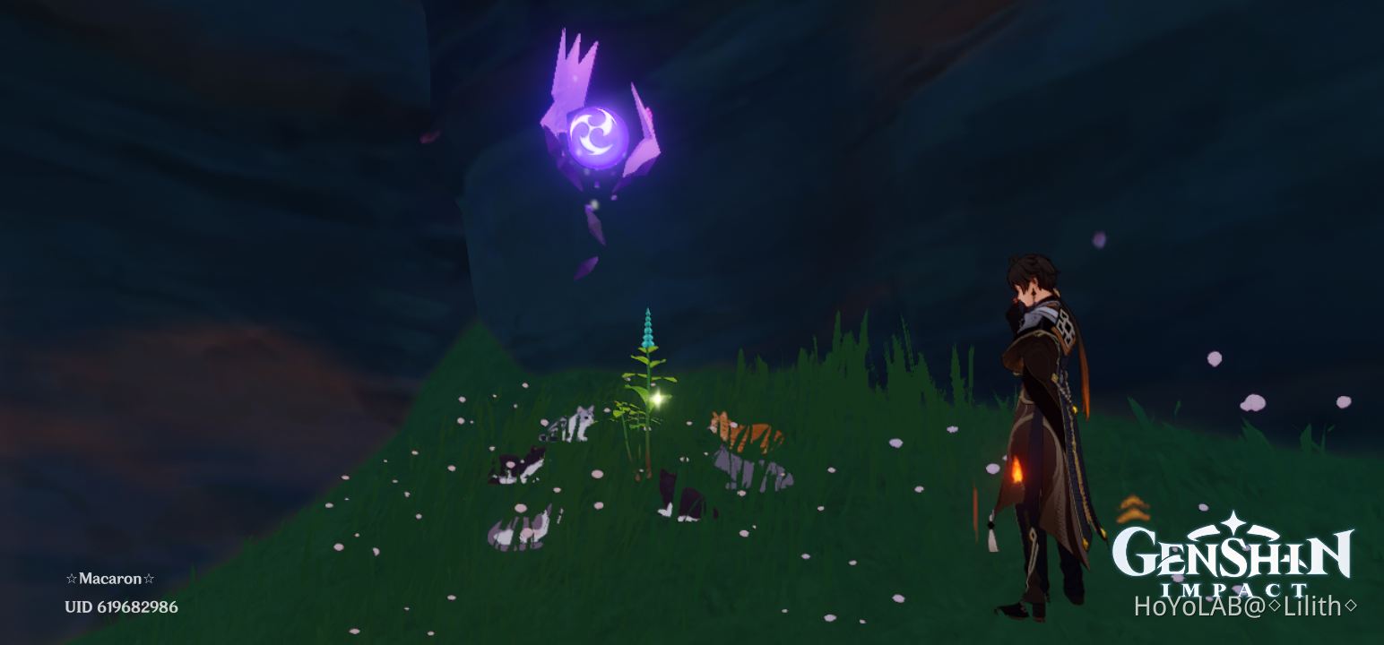 Cat Cult Genshin Impact | HoYoLAB