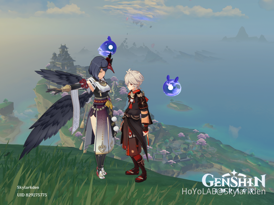 Fly with me? Genshin Impact | HoYoLAB