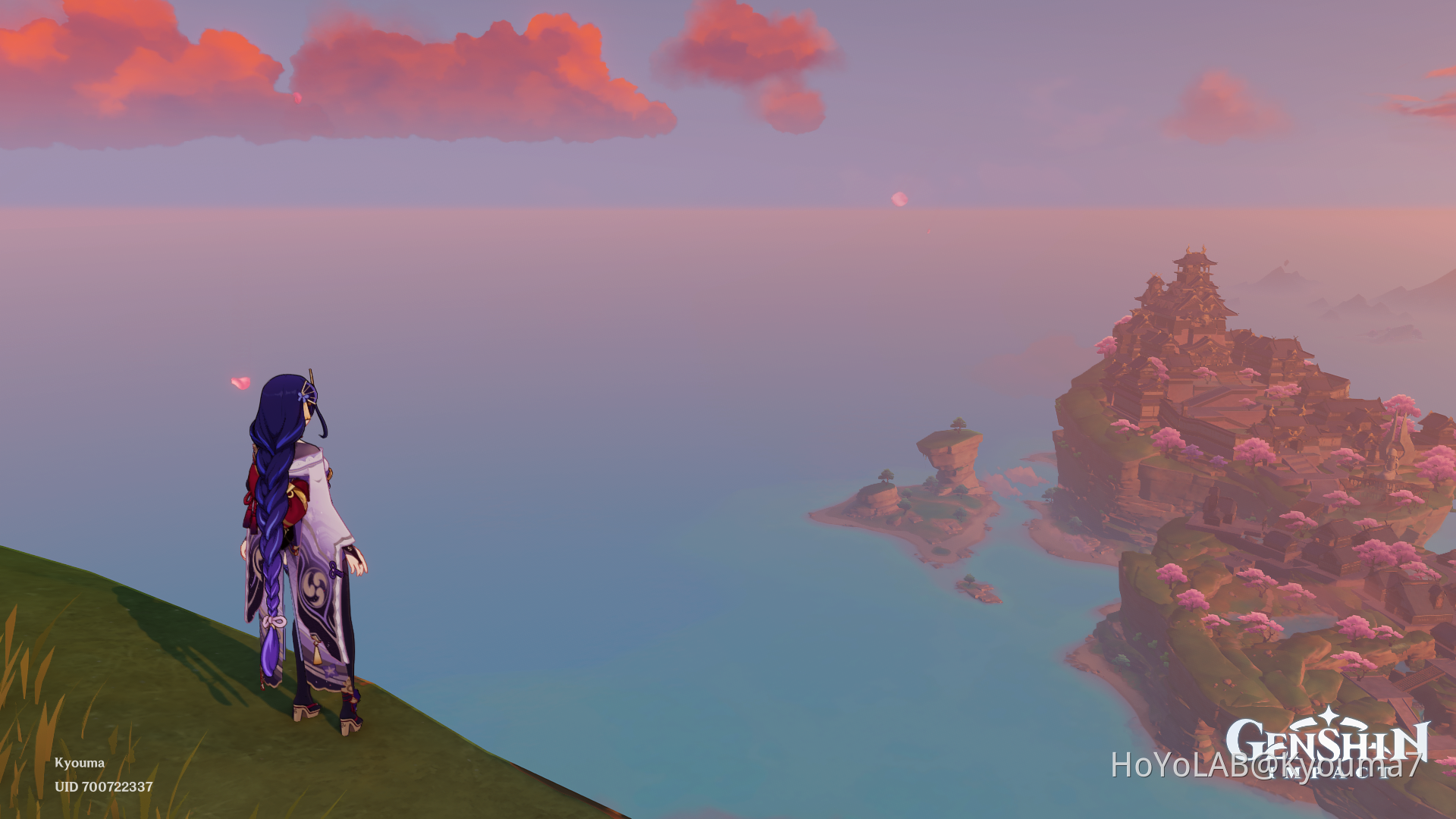 Raiden schaut auf Inazuma Genshin Impact | HoYoLAB