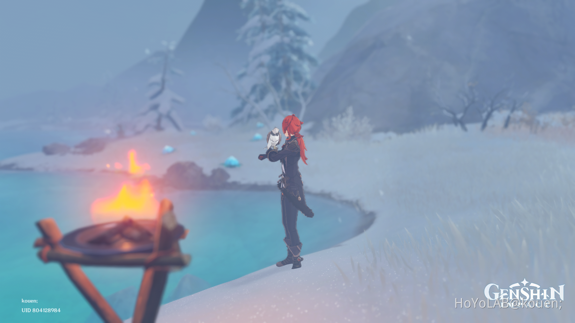 Warmth in Frozen Lands Genshin Impact | HoYoLAB