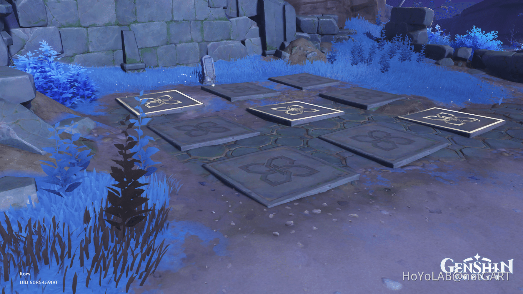 "Great Amakumo Peak" Achievement - Water Drain (2 Luxurious, 1 Precious ...