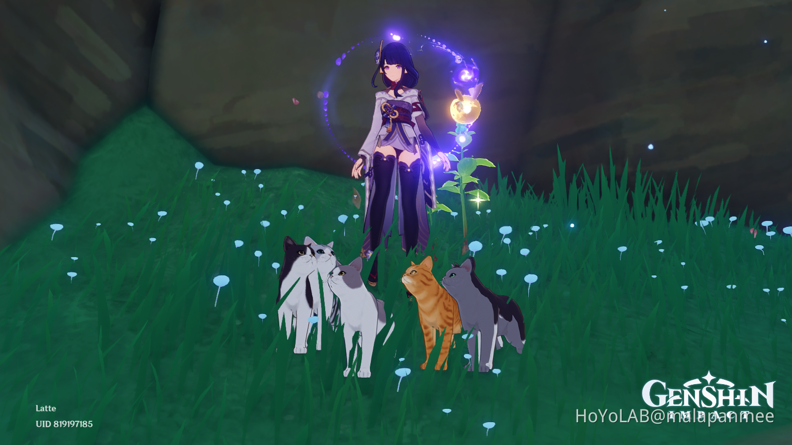 Meow meow assemble! Genshin Impact | HoYoLAB