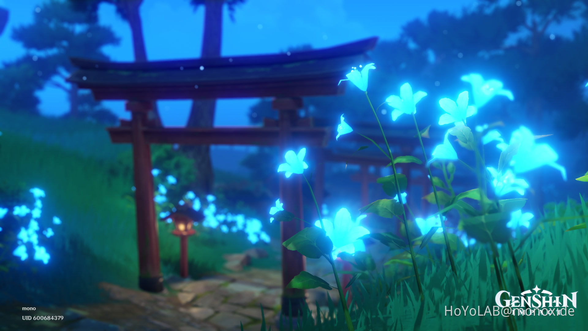 Torii gates Genshin Impact | HoYoLAB