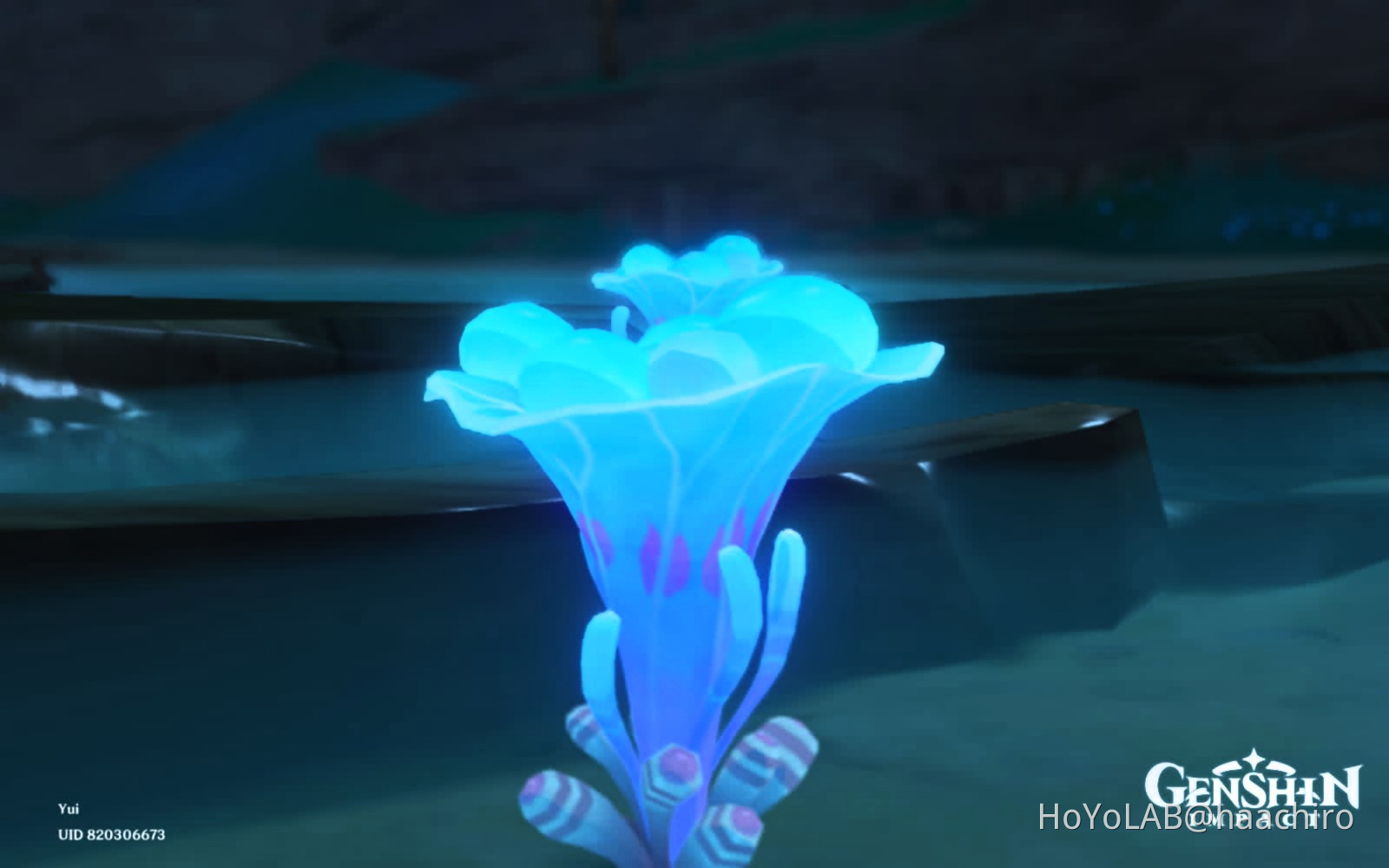 sea ganoderma Genshin Impact | HoYoLAB