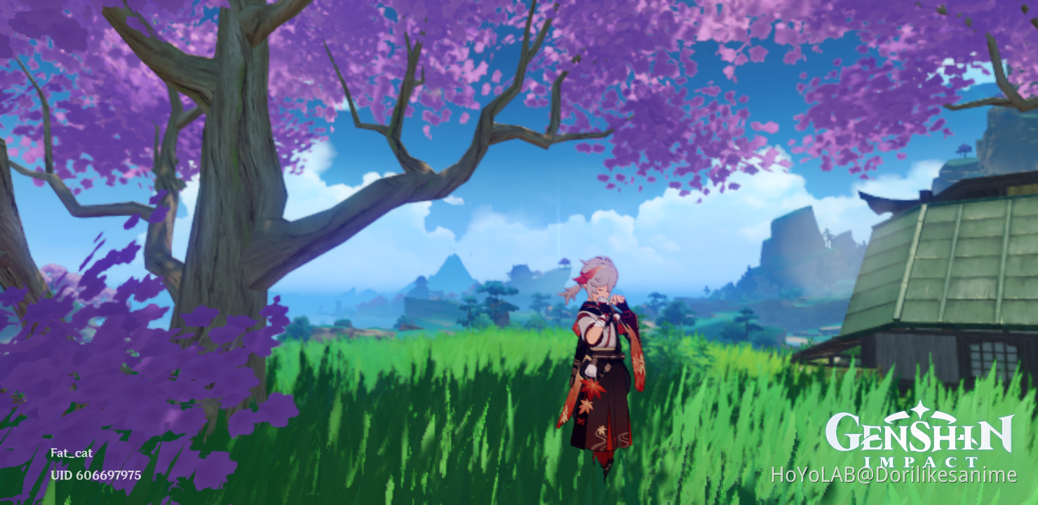 The beauty of Inazuma Genshin Impact | HoYoLAB