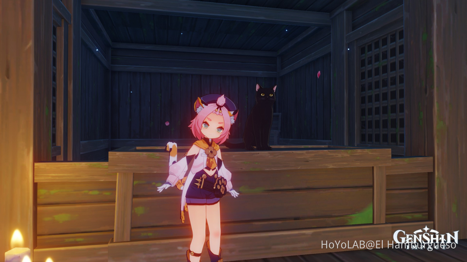 IT'S A TALKING CAT!! Genshin Impact | HoYoLAB