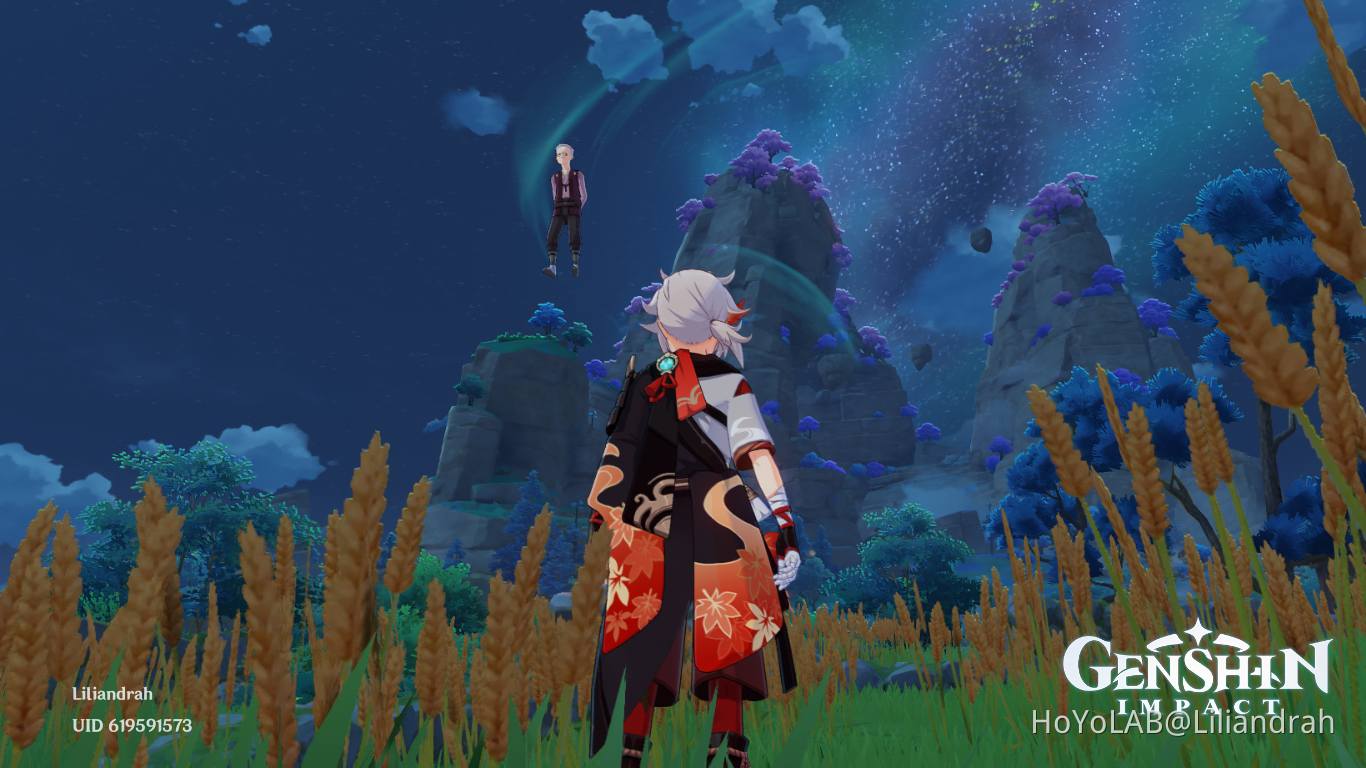 Flotando! Genshin Impact | HoYoLAB