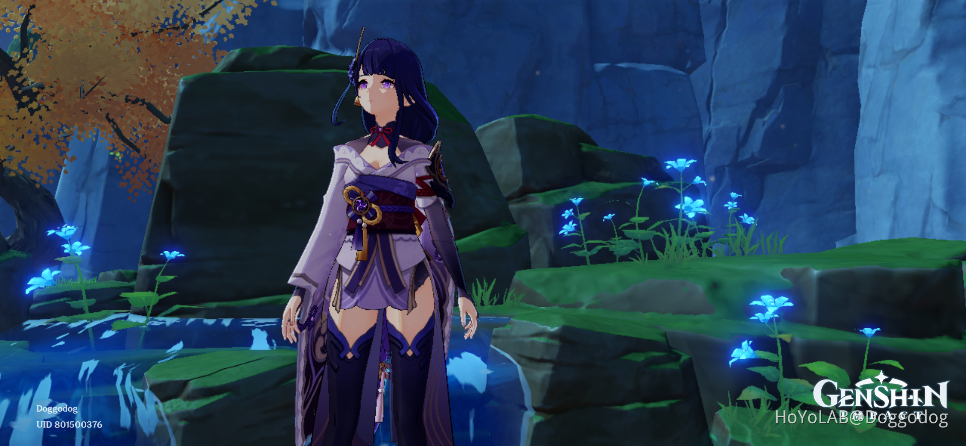 Raiden Shogun idle animations are so Genshin Impact | HoYoLAB