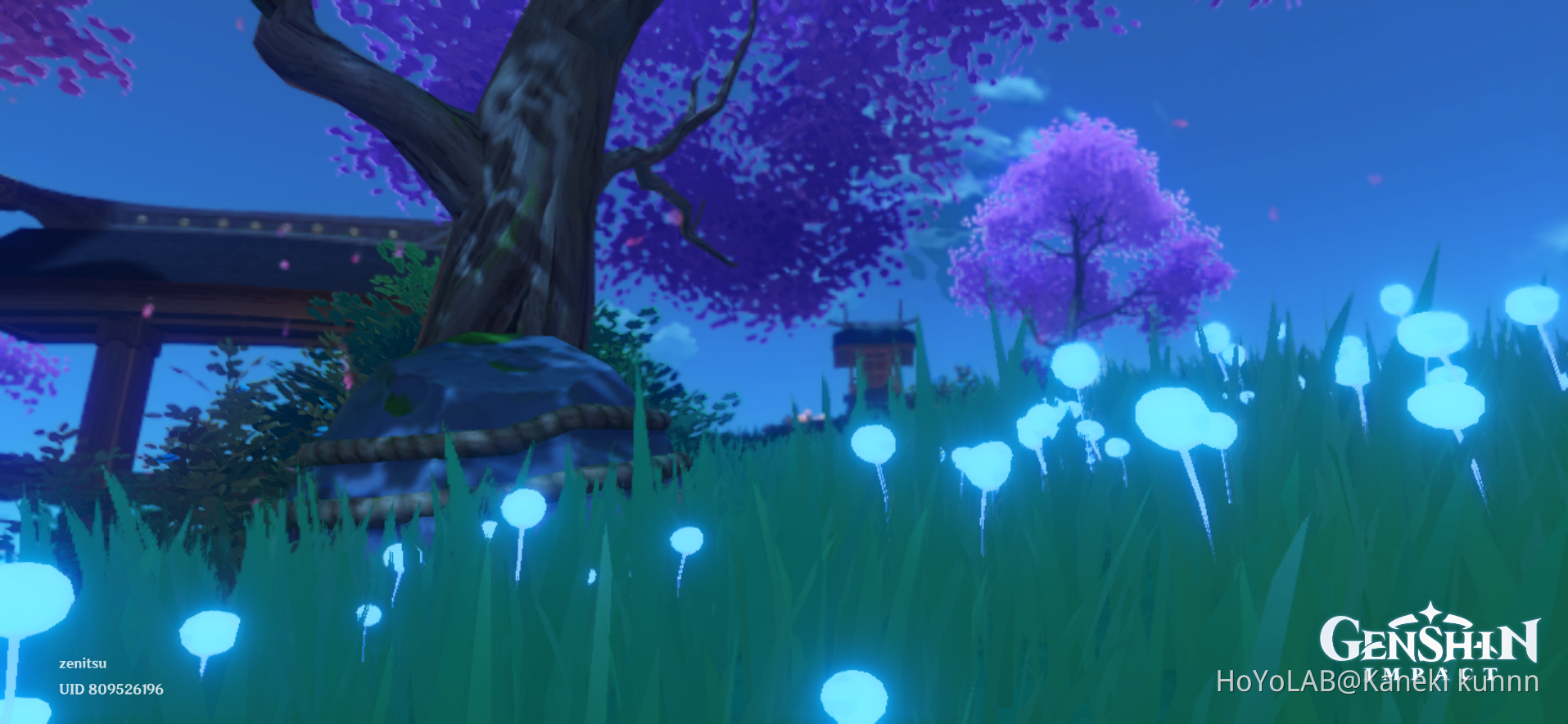 asase shrine | Genshin Impact | HoYoLAB