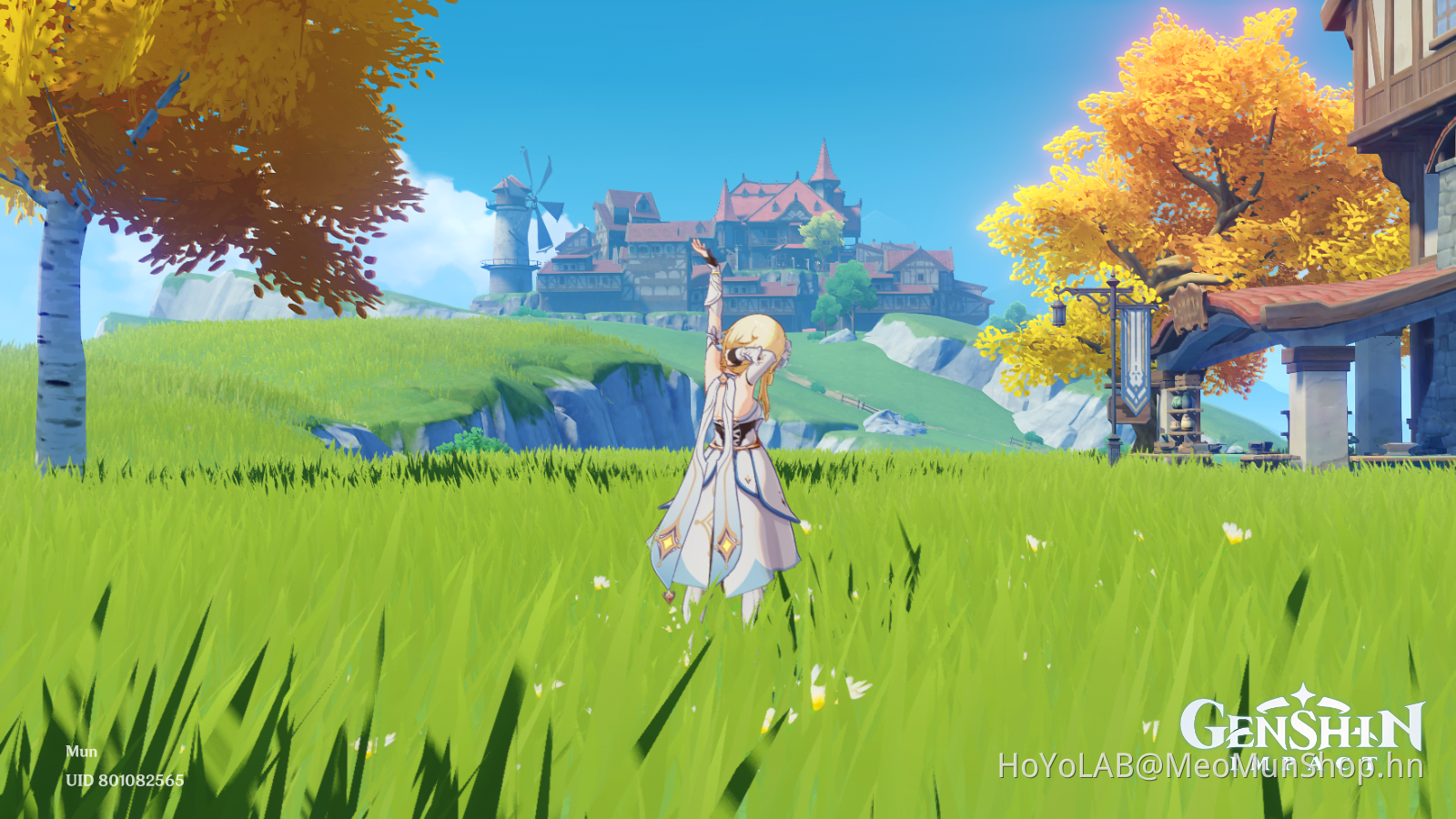 Tea Genshin Impact | HoYoLAB