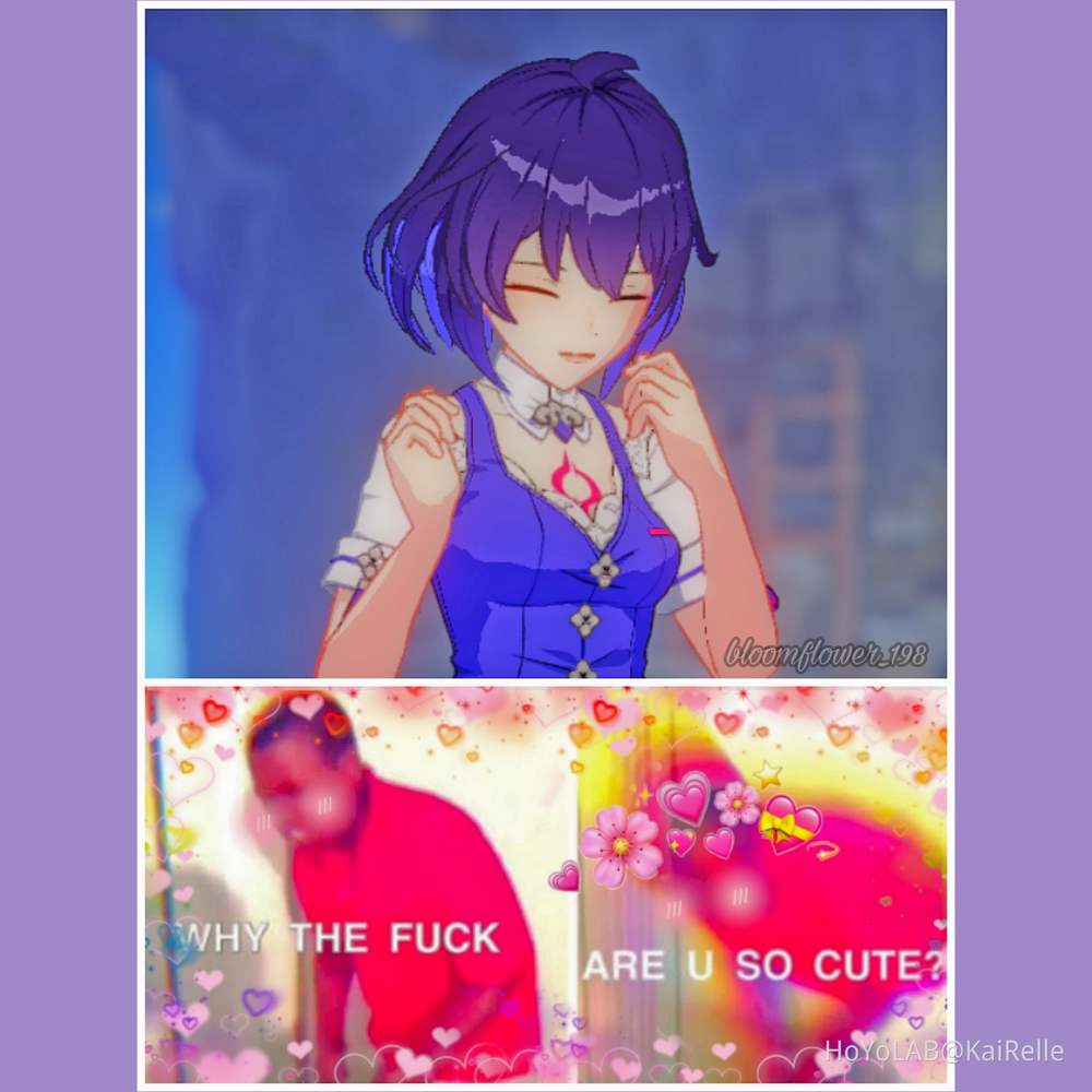 ; Why are you so cute? (meme) Honkai Impact 3rd | HoYoLAB
