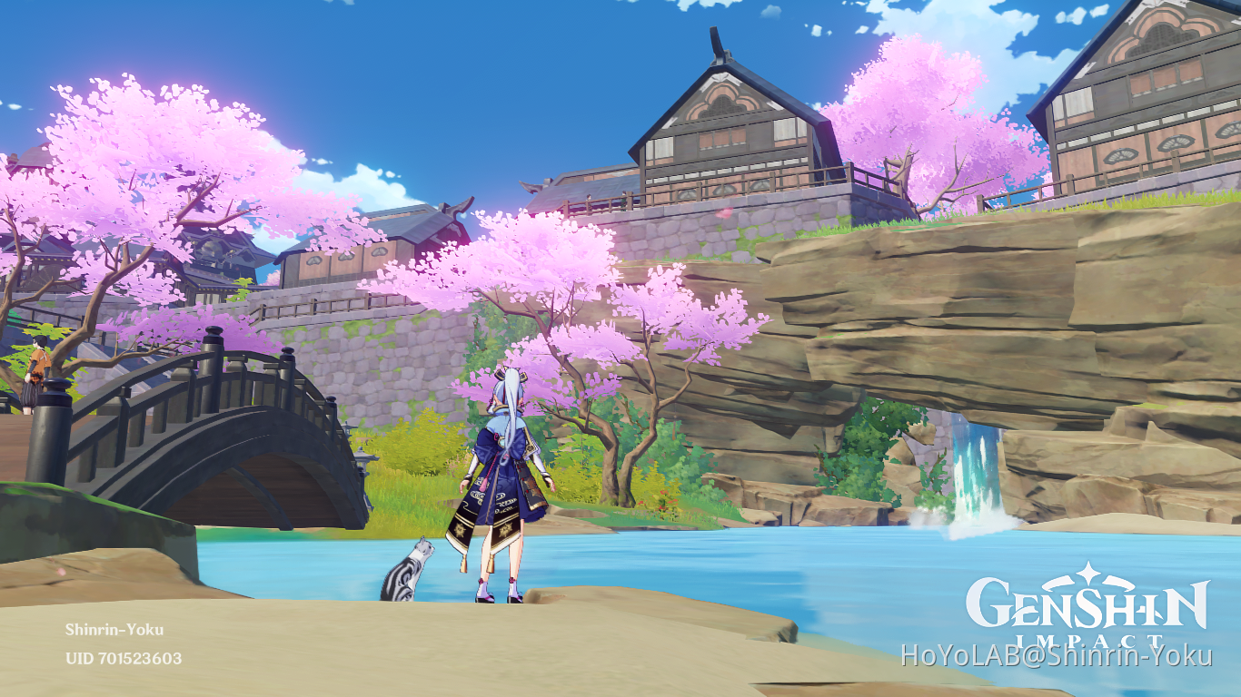 Meeting cats of Inazuma with Sayu and AYAYAka ฅ(^ ᴥ ^)ฅ Genshin Impact ...