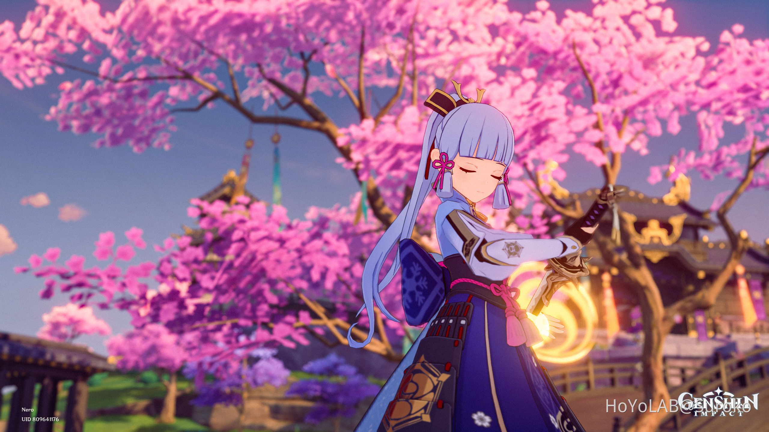 Sakura Dawn Genshin Impact | HoYoLAB