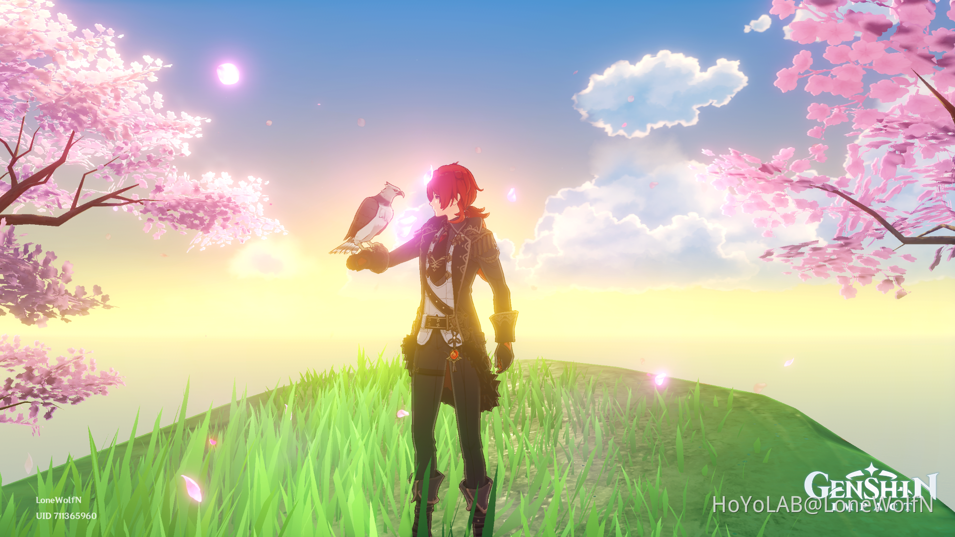 Diluc and his falcon Genshin Impact | HoYoLAB