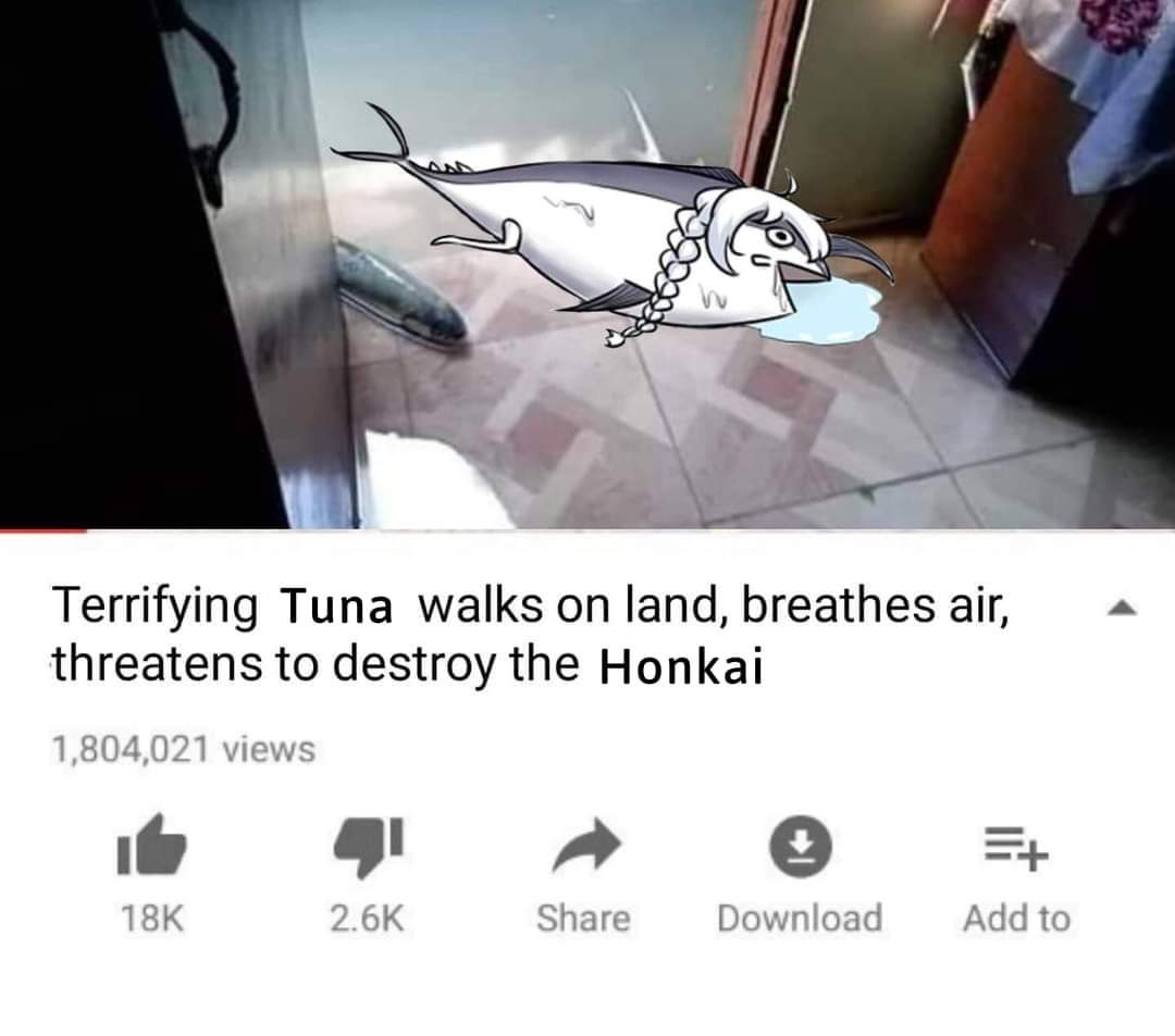 TUNA with legs!!! Honkai Impact 3rd | HoYoLAB