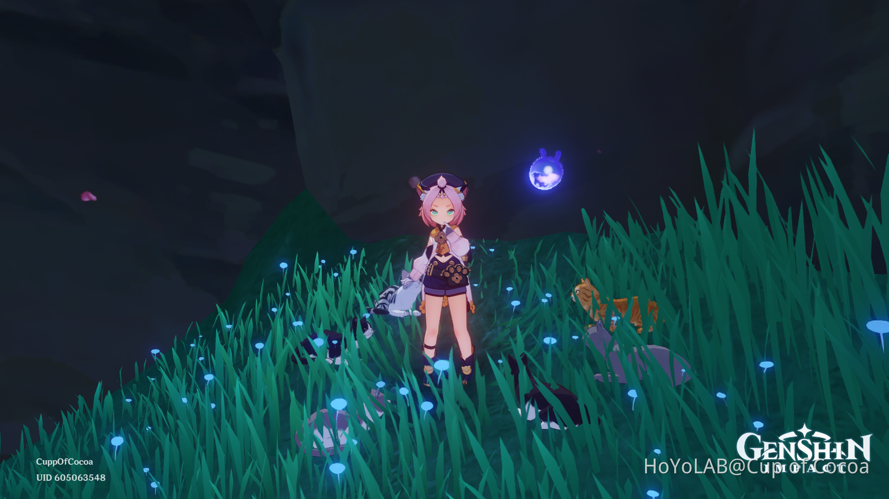 Diona on the Island of the Asase Shrine Genshin Impact | HoYoLAB