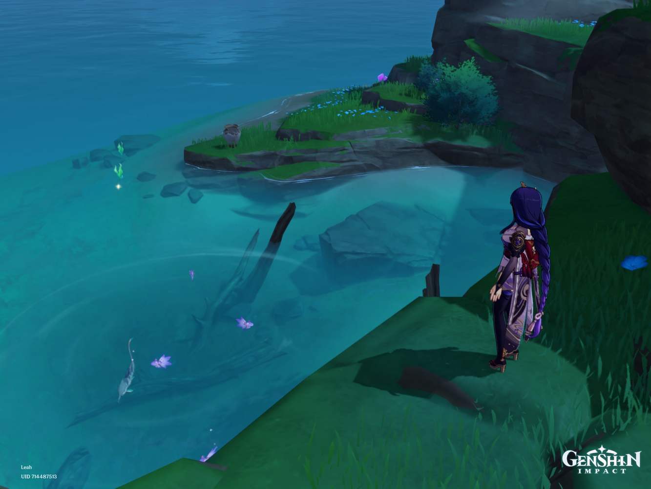 ‘The Catch’ Refinement Guide. Genshin Impact | HoYoLAB