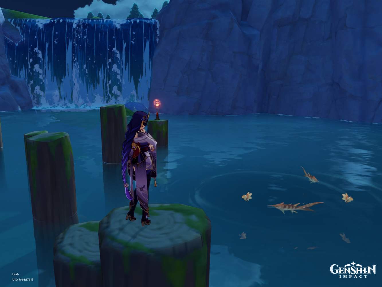 ‘The Catch’ Refinement Guide. Genshin Impact | HoYoLAB