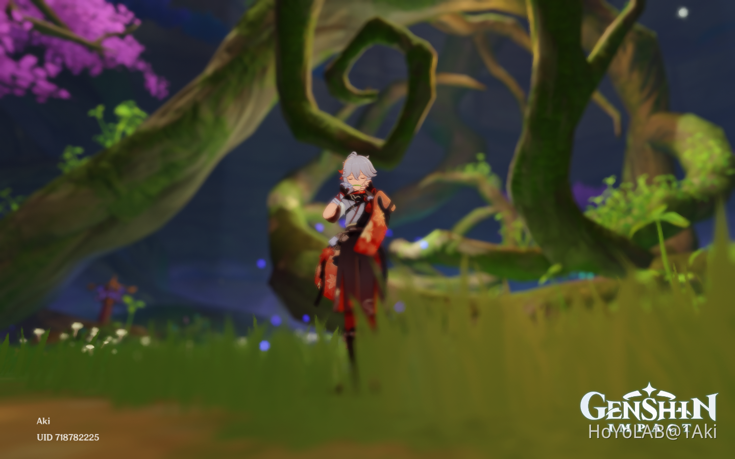 Wind's Requiem Genshin Impact | HoYoLAB