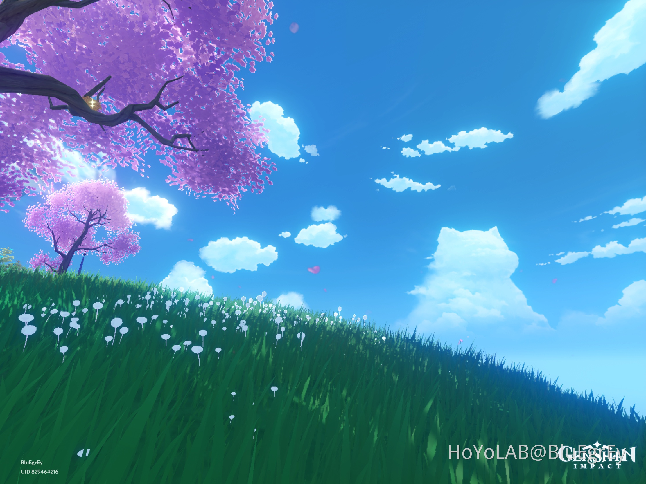 Asase Shrine | Genshin Impact | HoYoLAB