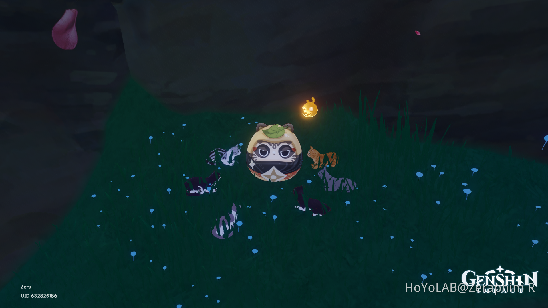 Cat's Idol Genshin Impact | HoYoLAB