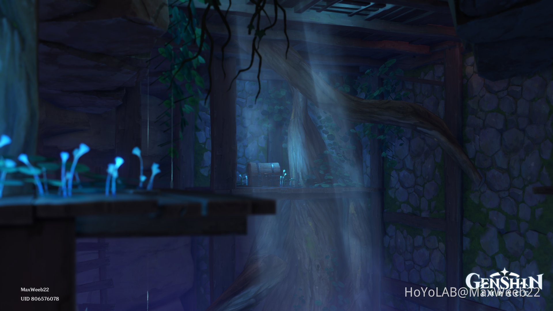 Chest under the moonlight Genshin Impact | HoYoLAB