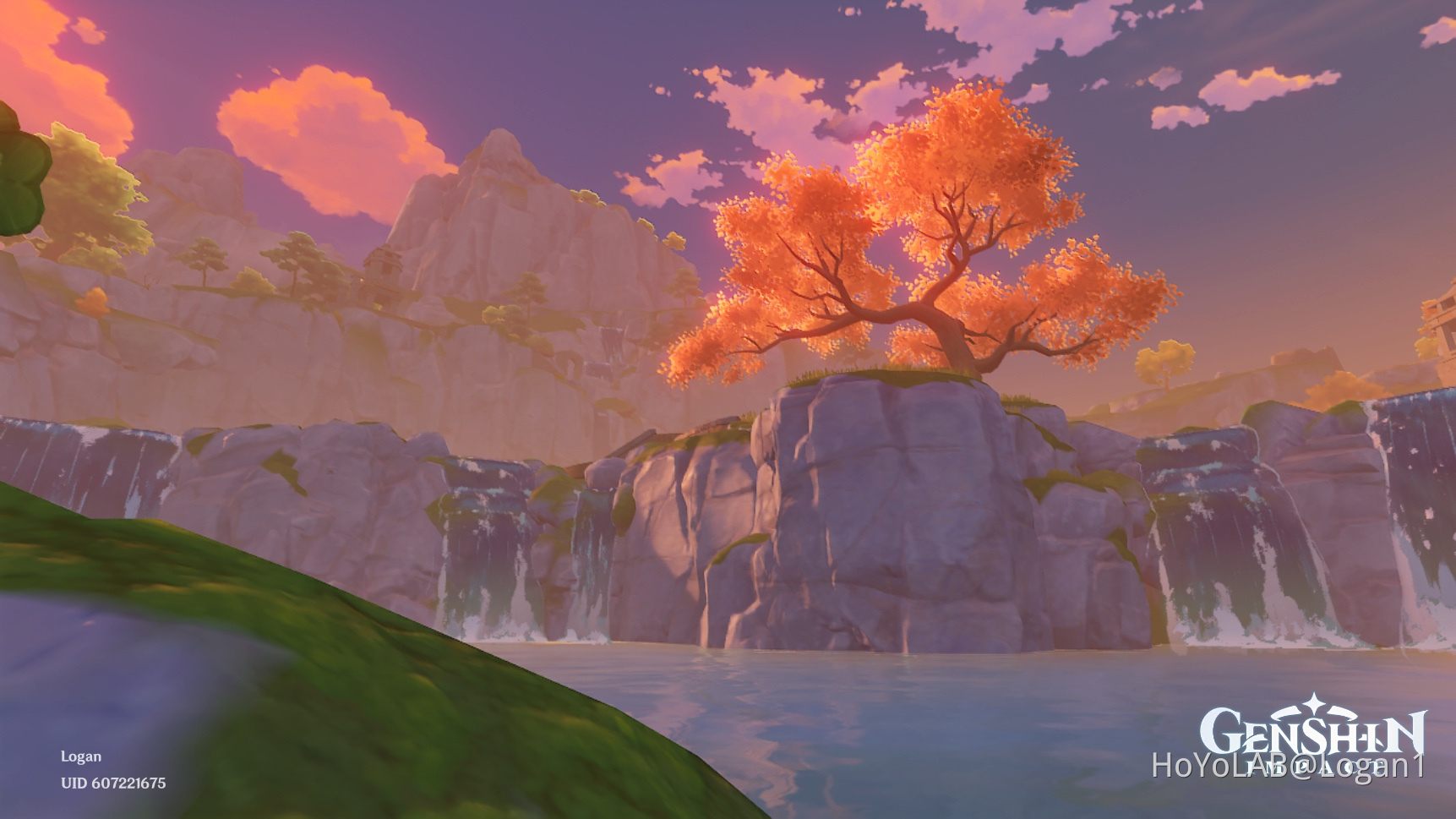 Tree :) Genshin Impact | HoYoLAB