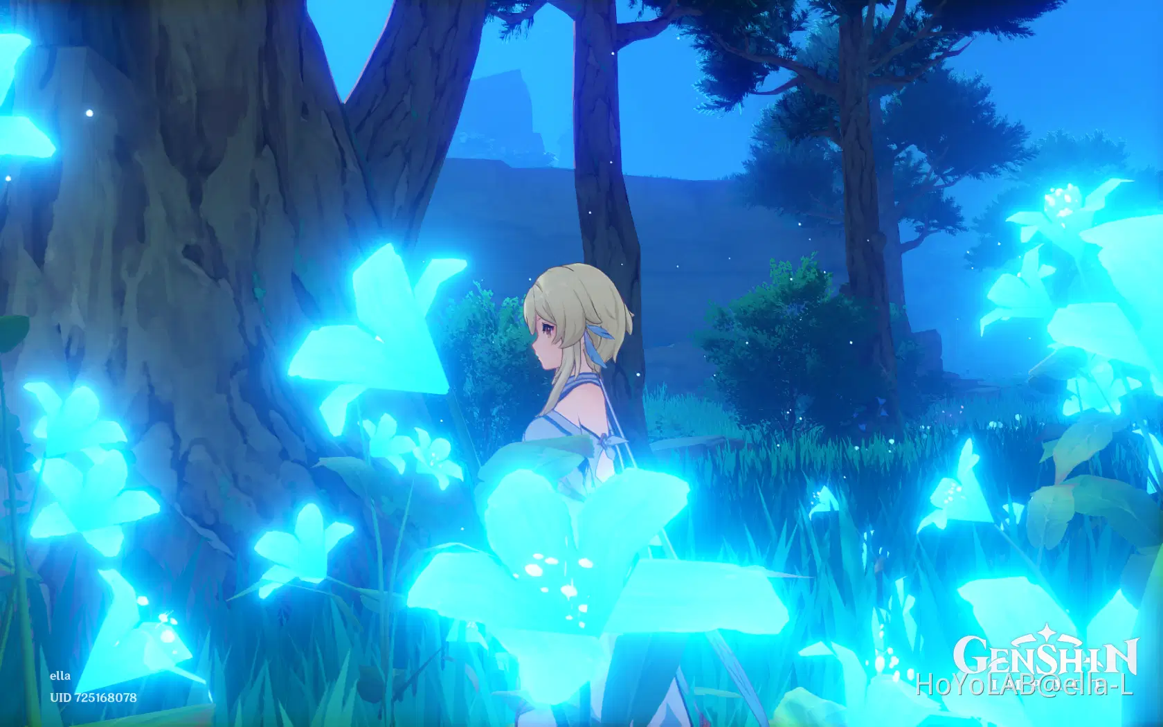 The blue flowers of inazuma Genshin Impact | HoYoLAB