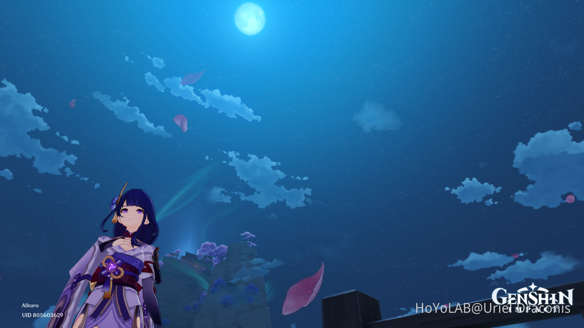 Raiden shogun's first ever photo Genshin Impact | HoYoLAB