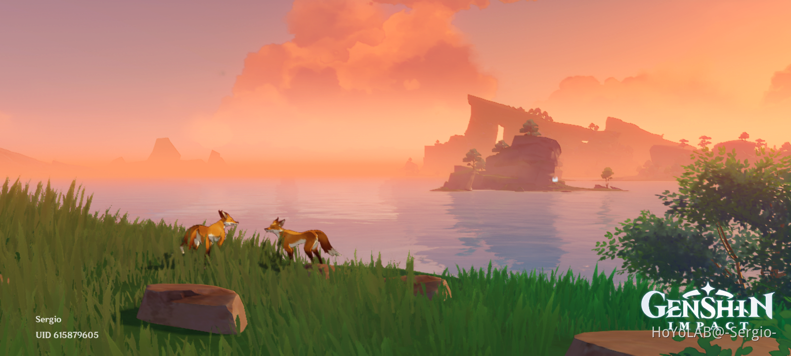 Foxes Genshin Impact | HoYoLAB