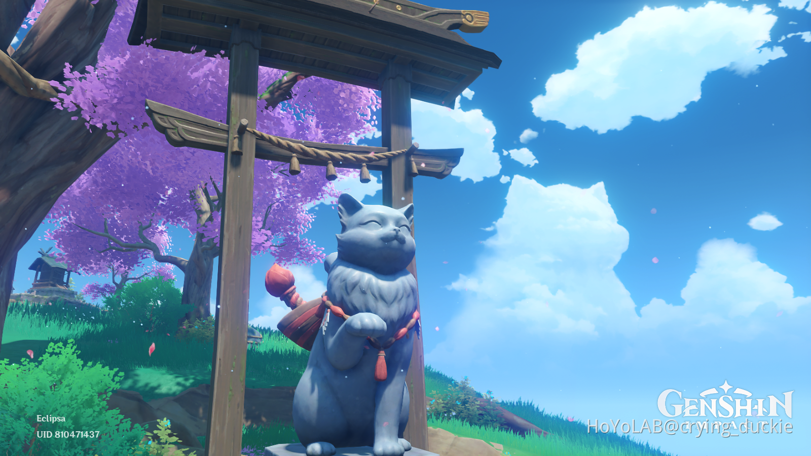 Neko statue and Cloud