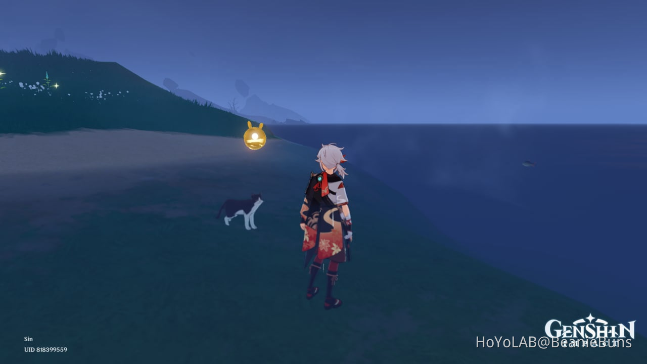 Cat in Inazuma Genshin Impact | HoYoLAB