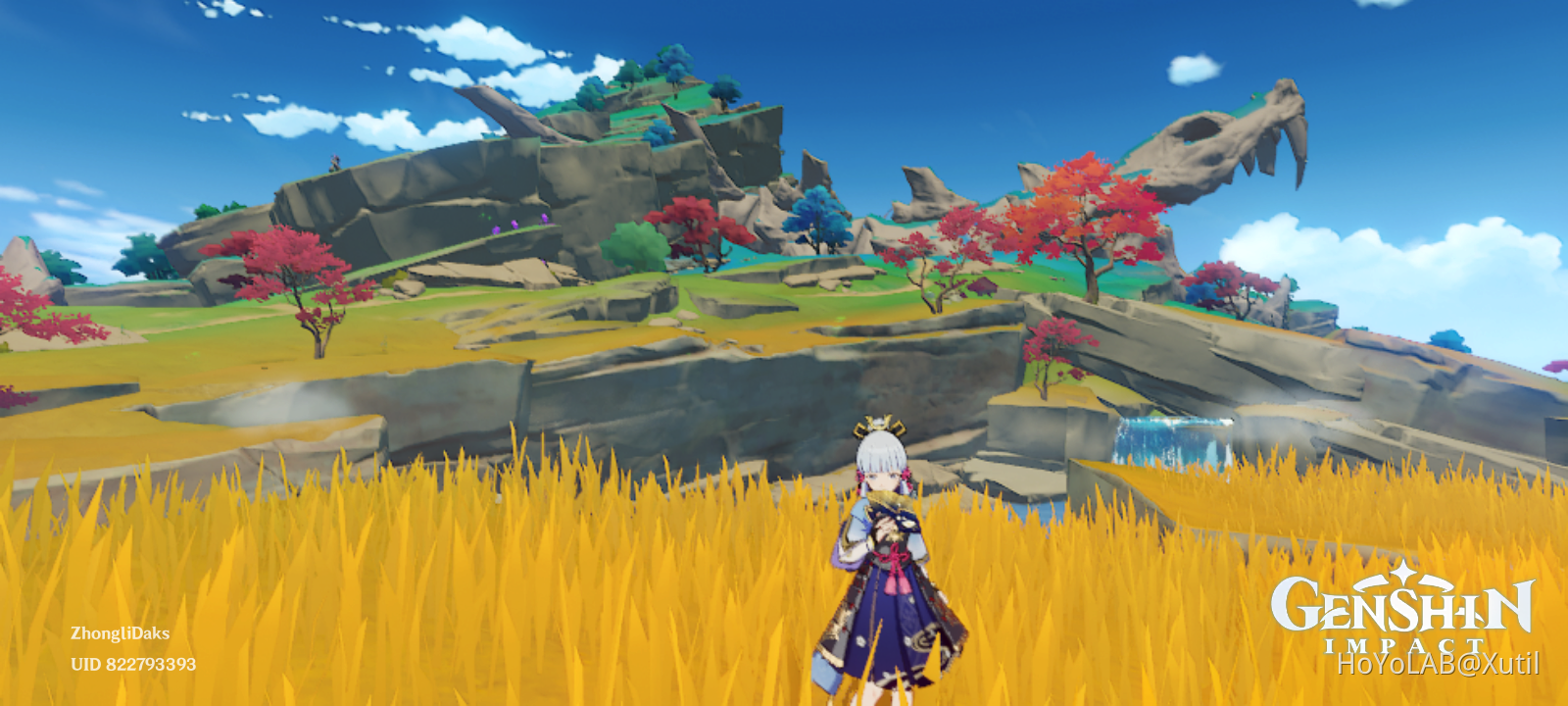 Exploring Inazuma Genshin Impact | HoYoLAB