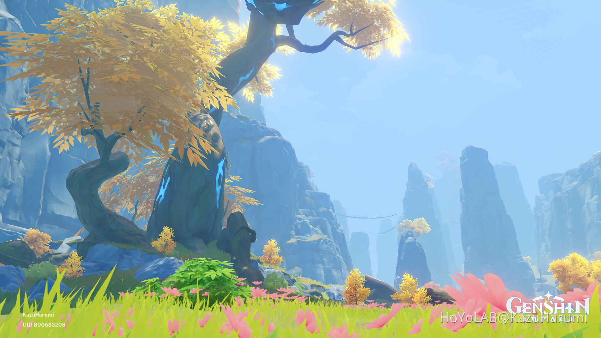 beautiful tree in Nantianmen "Liyue" Genshin Impact | HoYoLAB