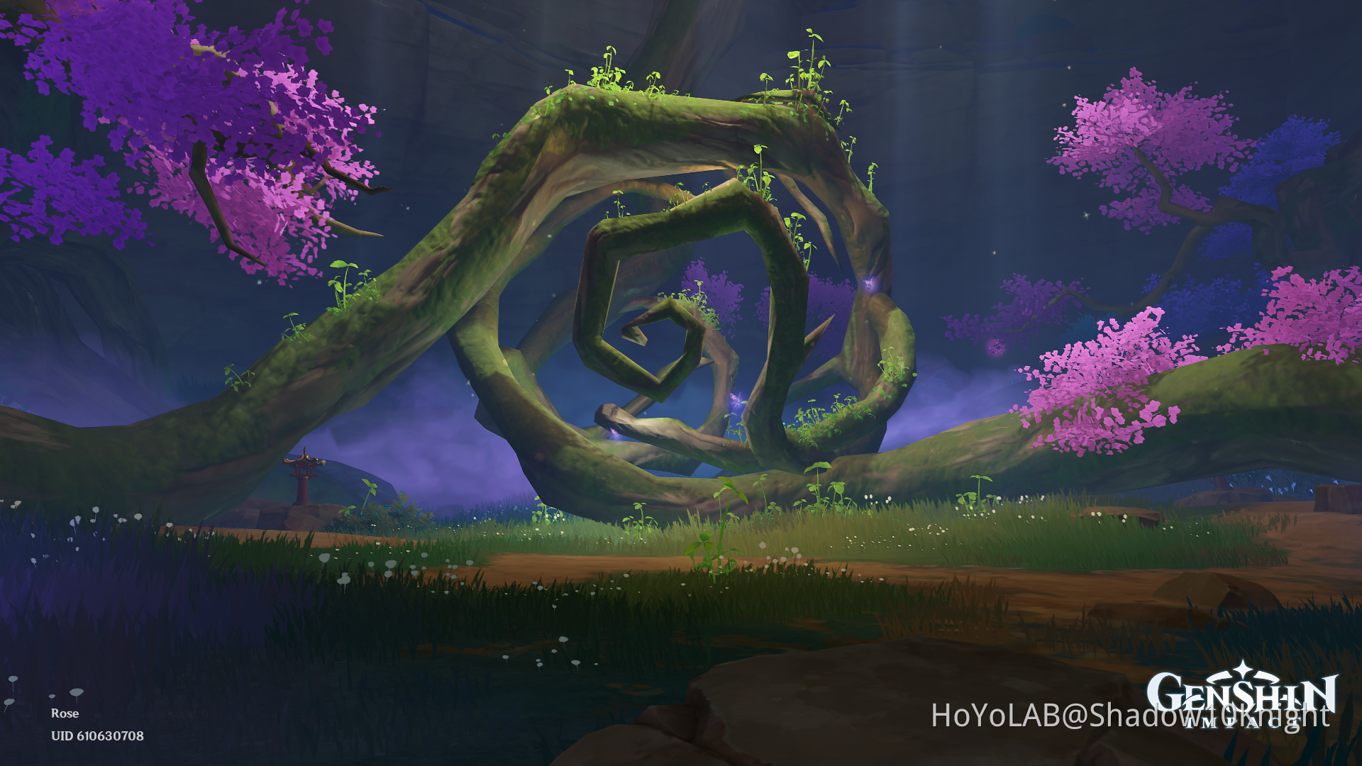 Roots of Sakura Tree Genshin Impact | HoYoLAB
