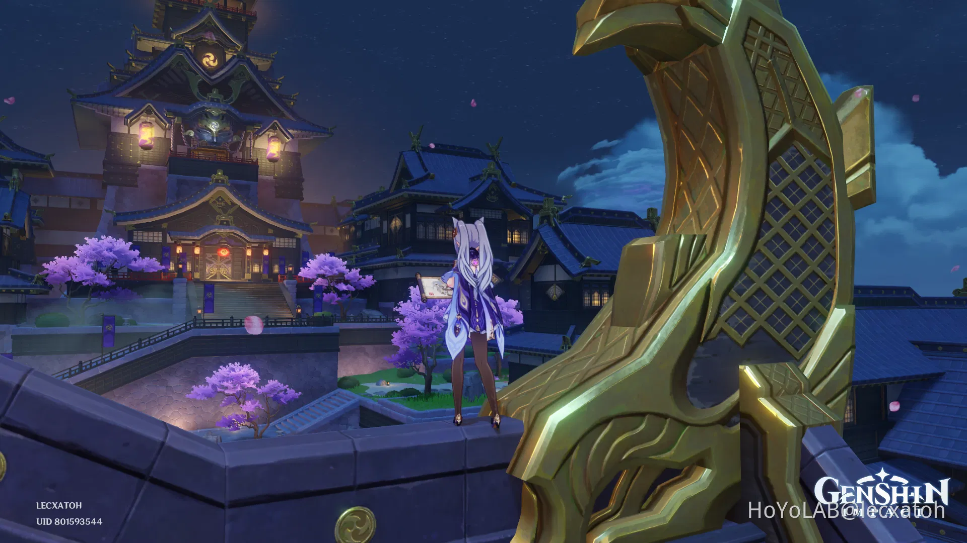 Night Raid at Shogun Palace Genshin Impact | HoYoLAB