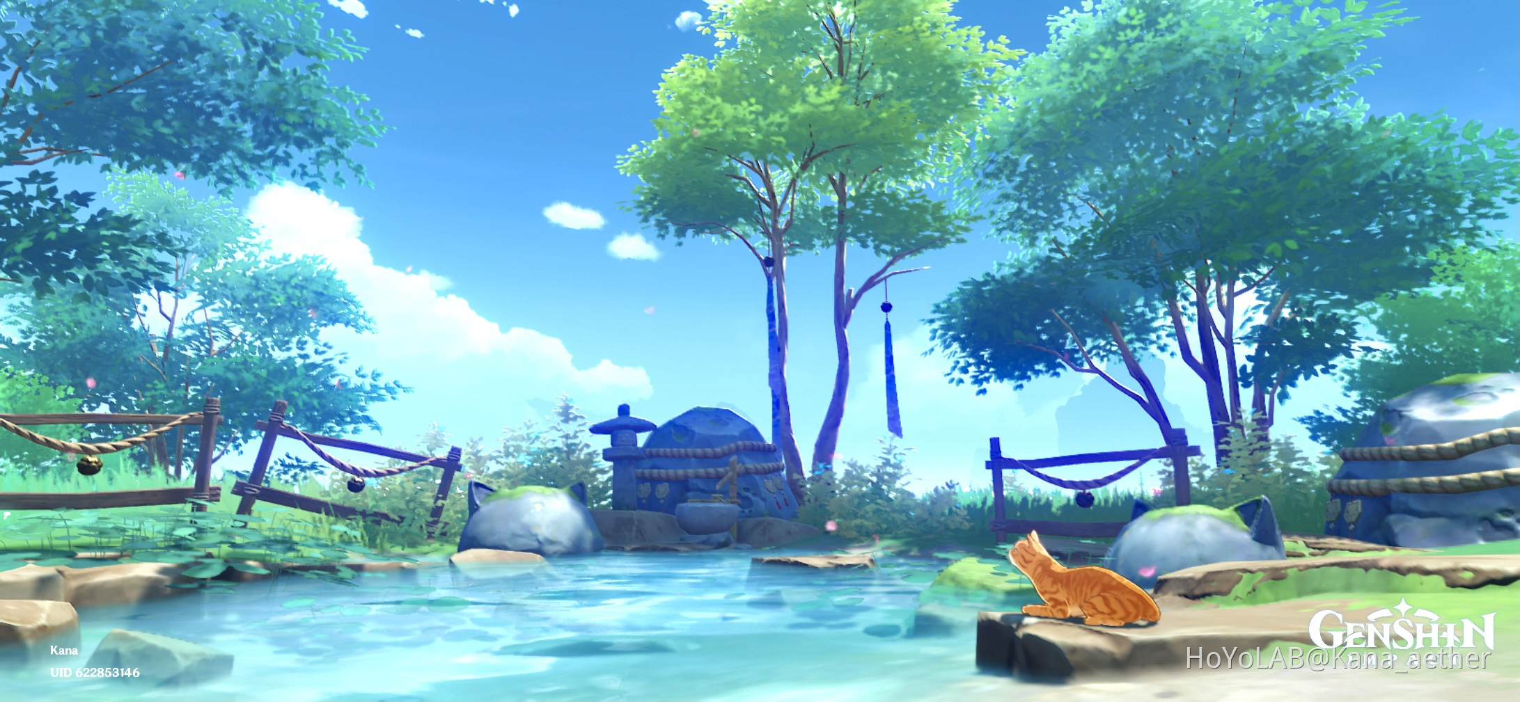 Ginger Genshin Impact | HoYoLAB