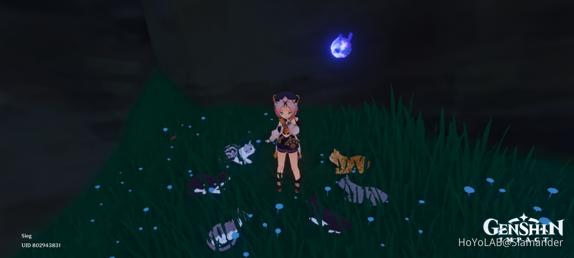 Goddess of Cat Genshin Impact | HoYoLAB