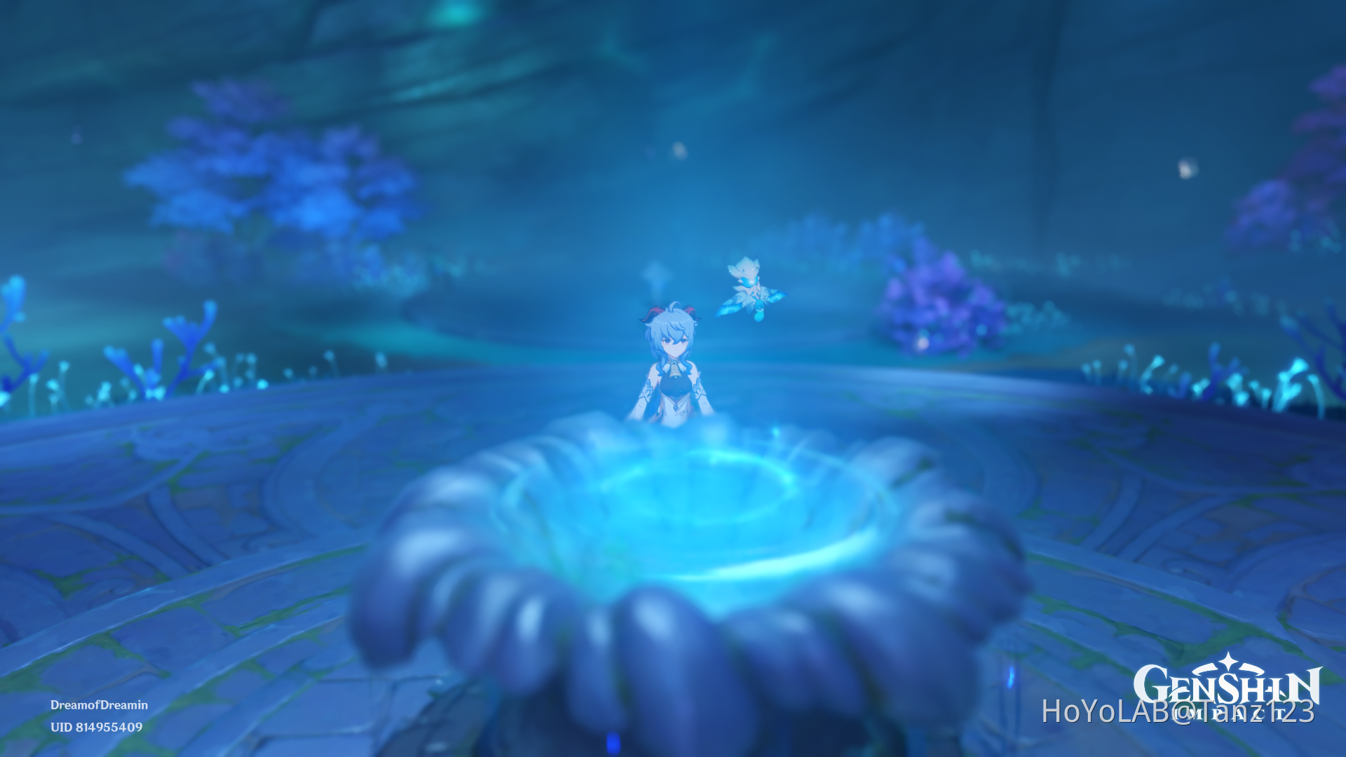 Water Genshin Impact | HoYoLAB