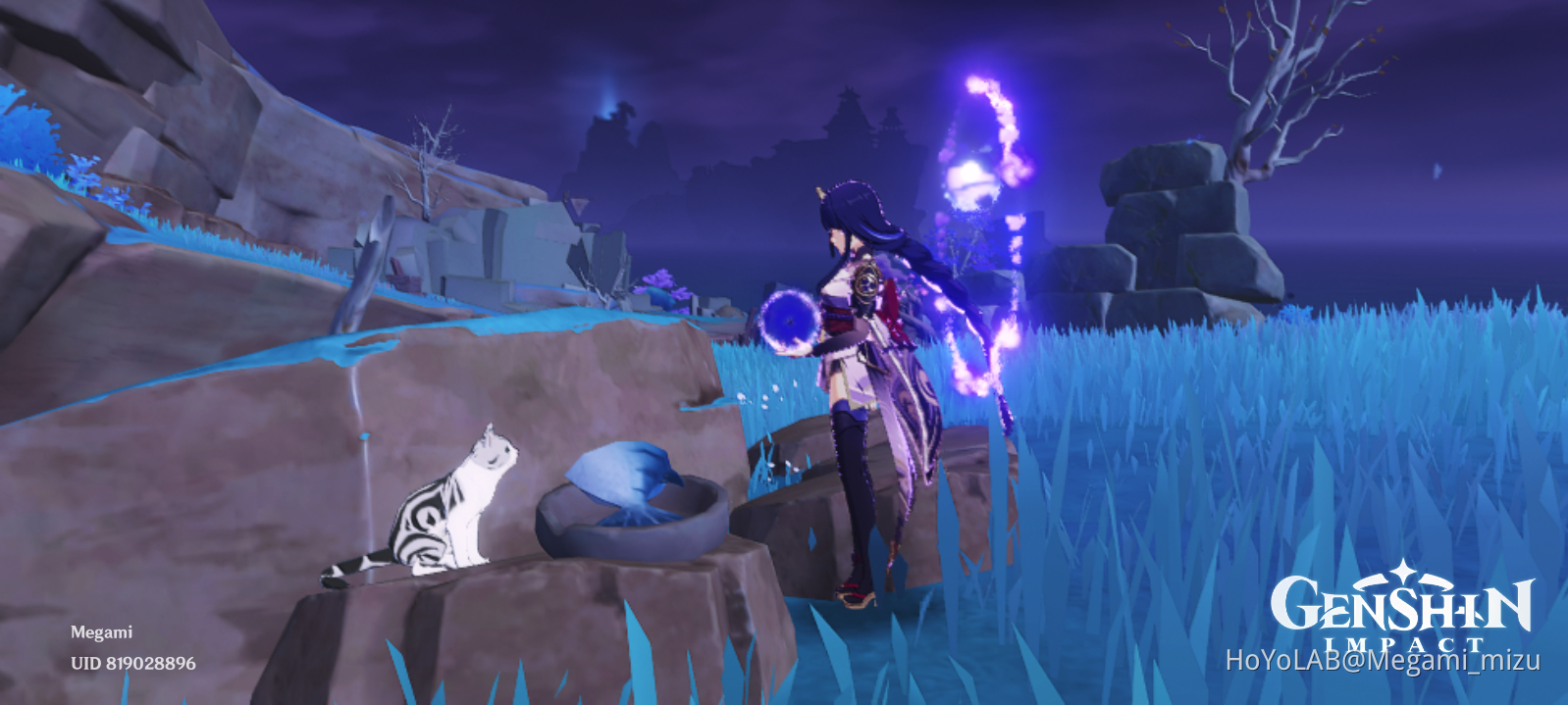 Cat 🐈 and Raiden Shogun Genshin Impact | HoYoLAB