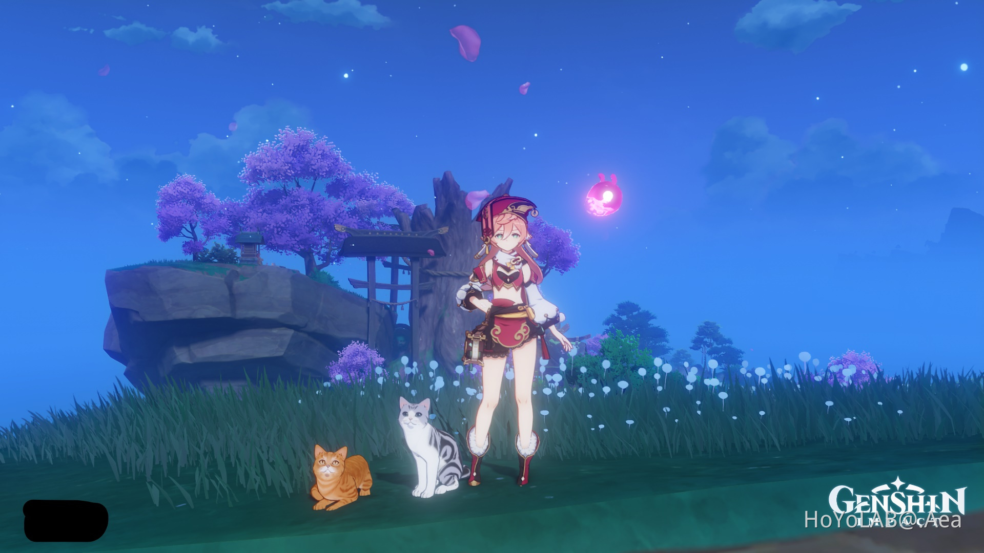 Some Screenshots taken by me! :D (Inazuma Version) Genshin Impact | HoYoLAB