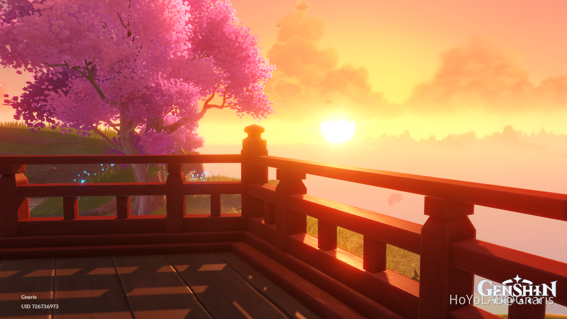 The color of the sun | Genshin Impact | HoYoLAB