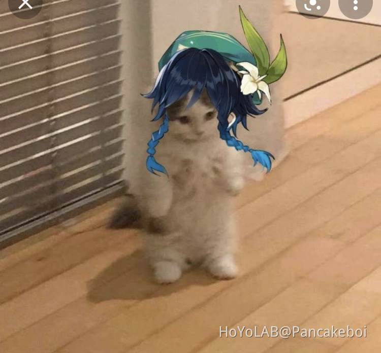 Help Genshin Impact | HoYoLAB