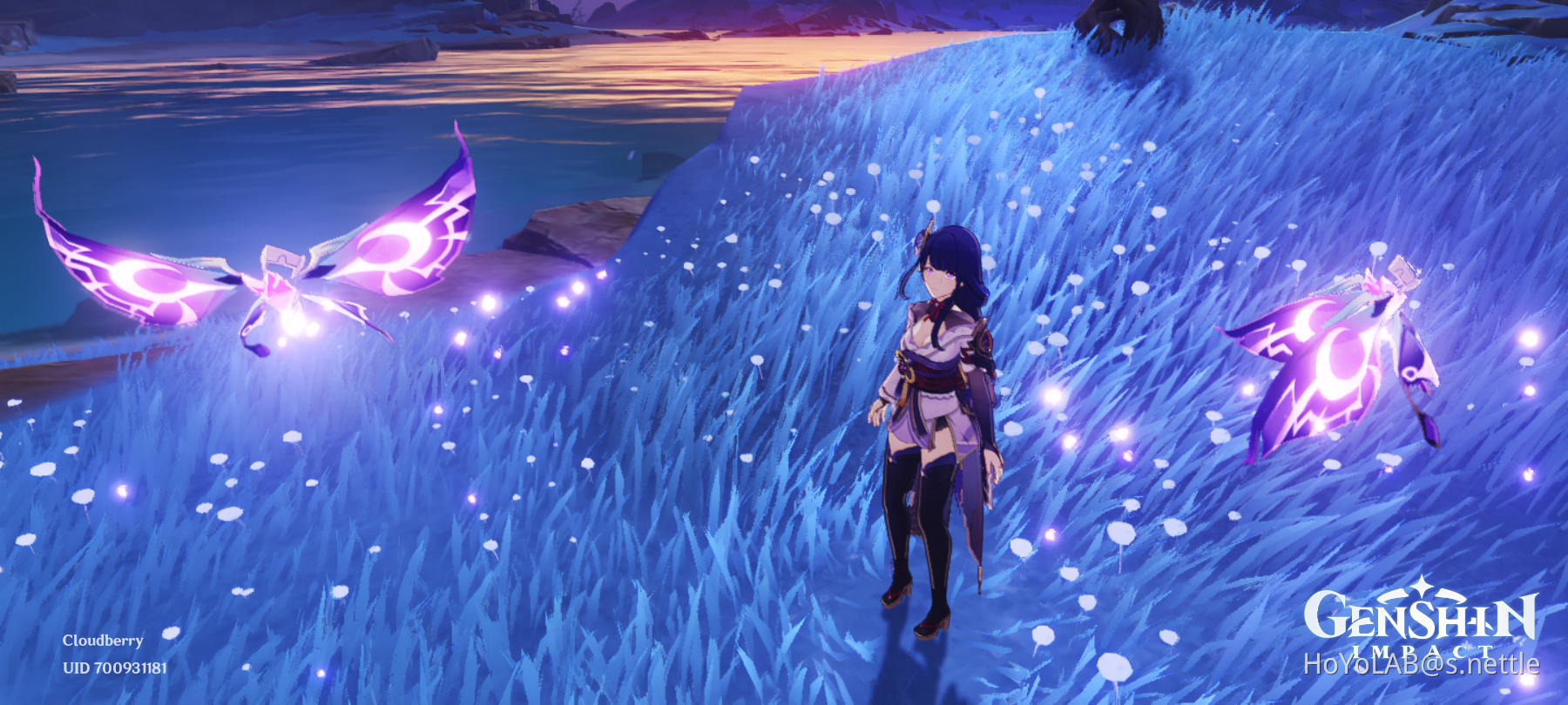 Crystalflies Genshin Impact | HoYoLAB