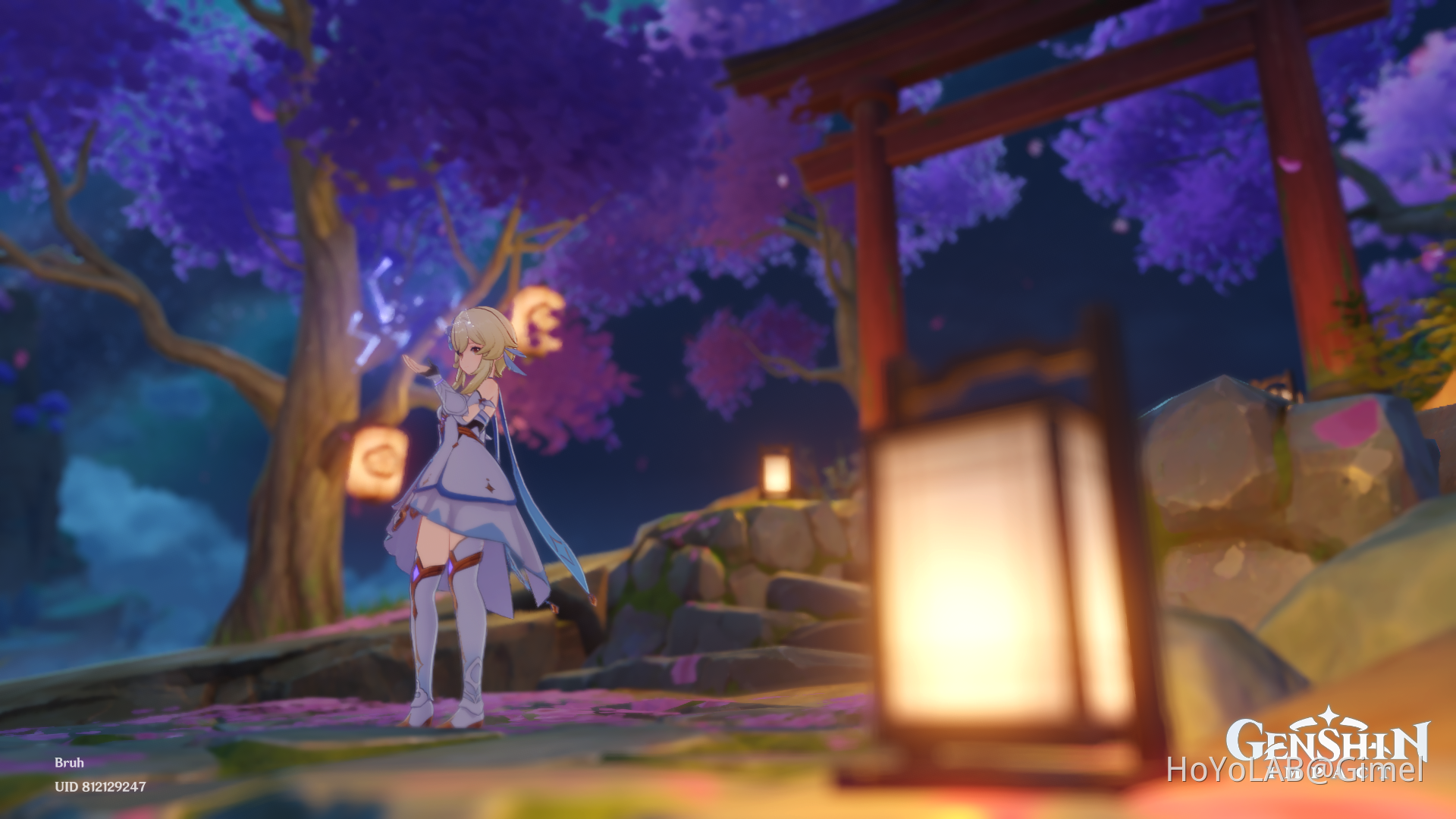 The Eternal beauty of Inazuma