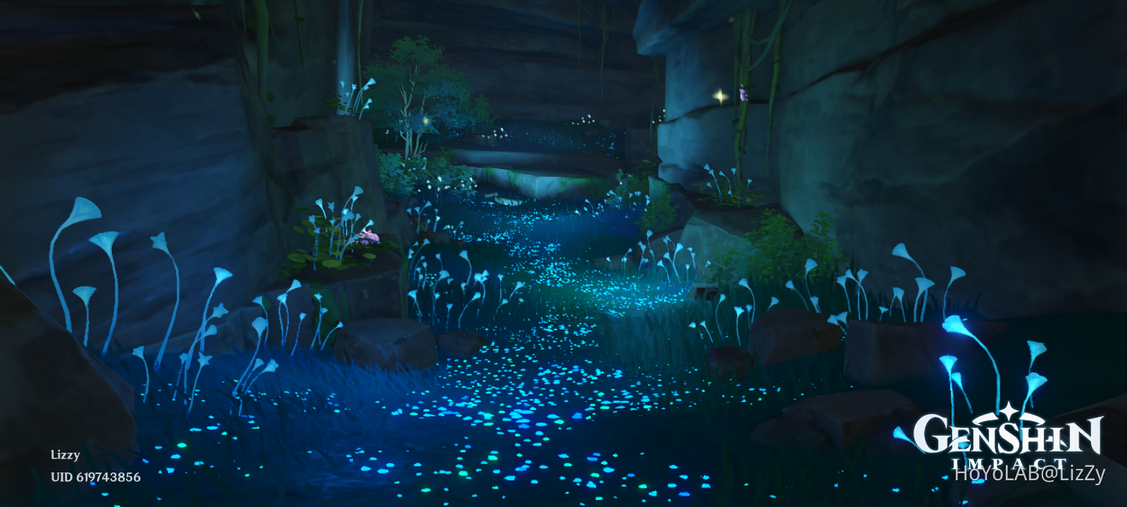 pretty blue plants. Genshin Impact | HoYoLAB