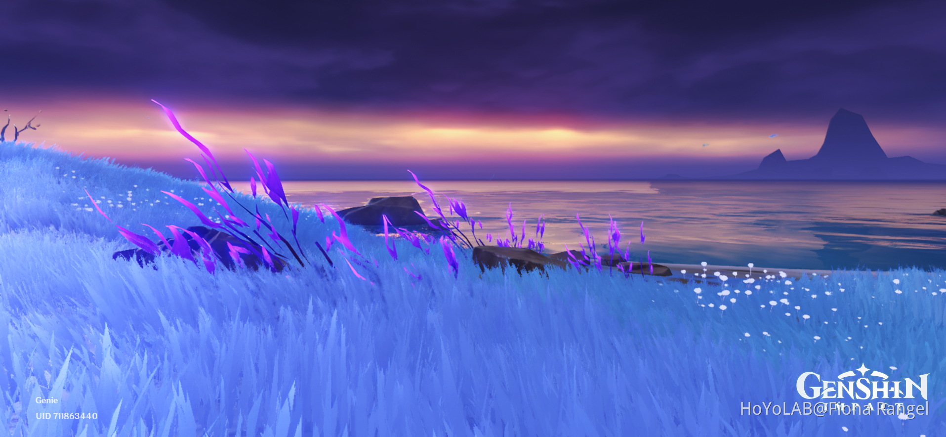 Seirai Island Genshin Impact | HoYoLAB