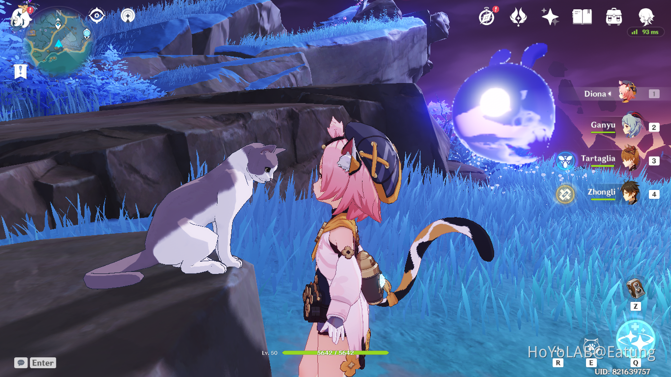 Cat staring contest Genshin Impact | HoYoLAB