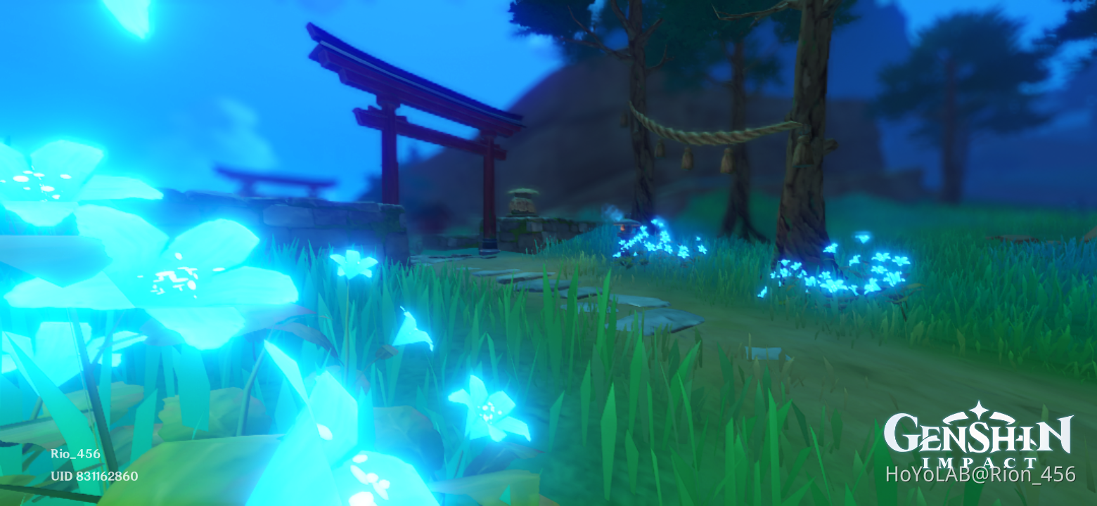 Chinju Forest Genshin Impact | HoYoLAB